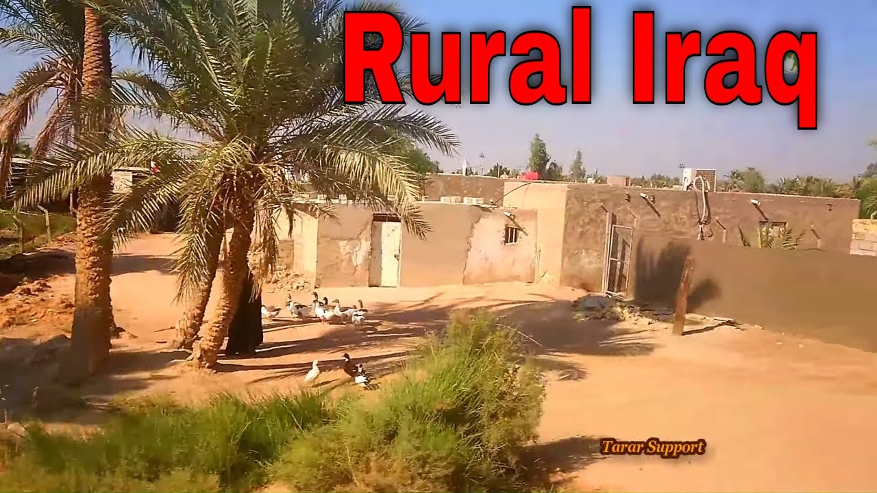 Traveling Iraq Rural Area Near Najaf City Middle East 2020 | Middle East TV